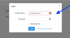 Prevent Non Numeric In input type number textfield & Hide Arrow - Mercatorenterprises